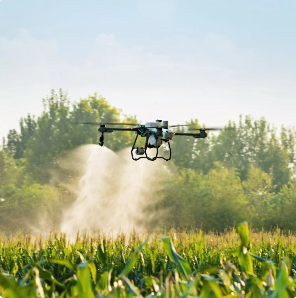 Pest Control Robotization – EVERGREEN