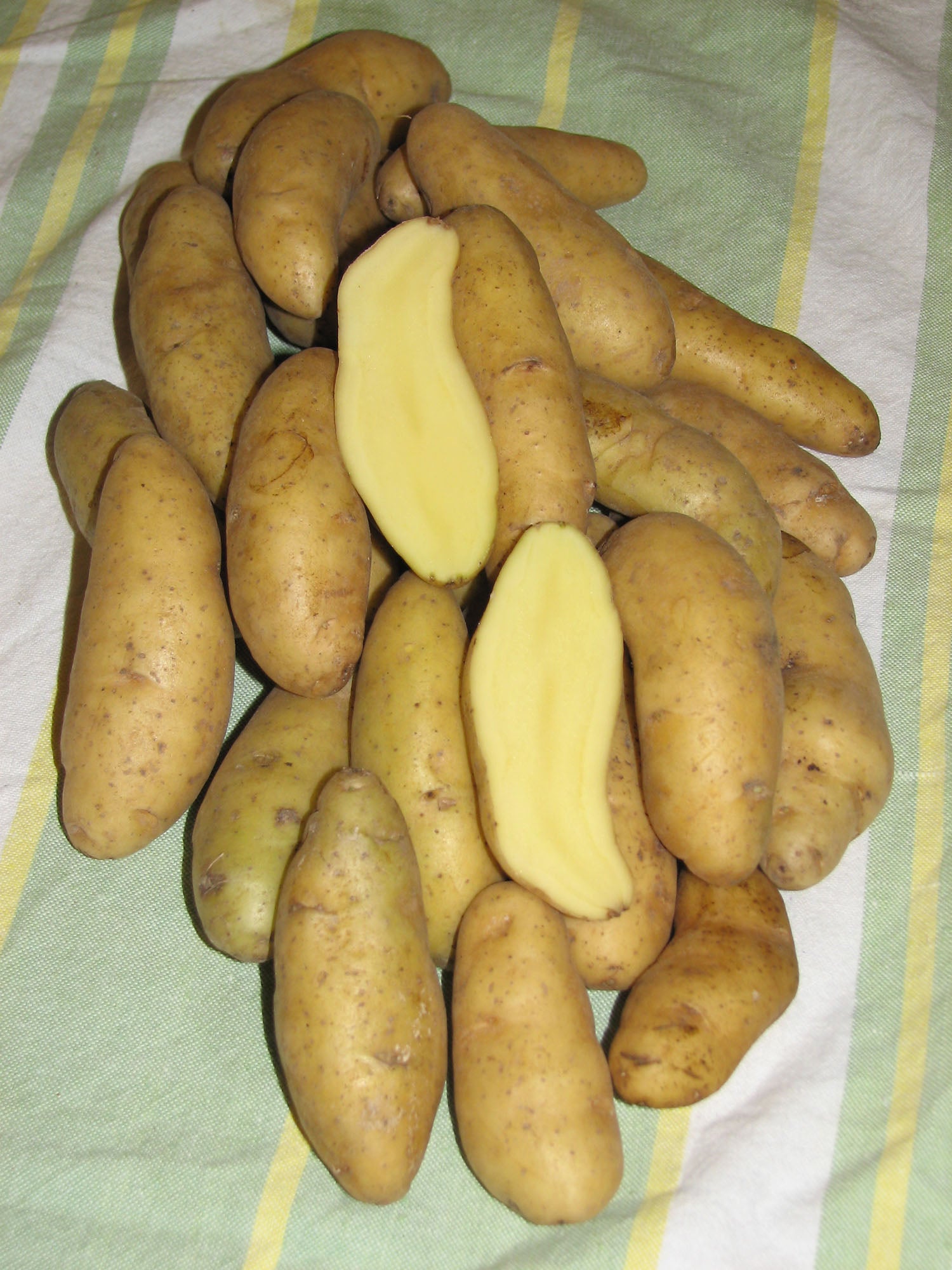Banana Heritage Gourmet Potato – EVERGREEN