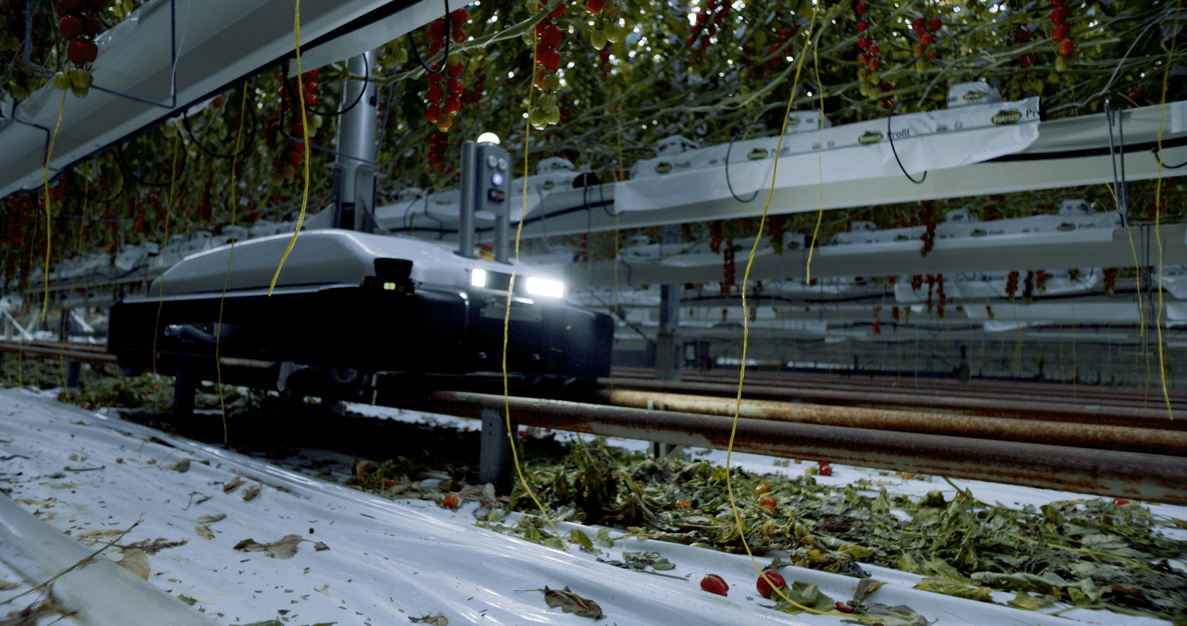 Viscon EVA Scoutr Autonomous Pest Monitoring – EVERGREEN