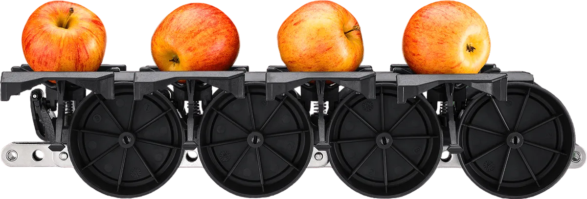 Aweta Apple Sorting and Packing Line – EVERGREEN