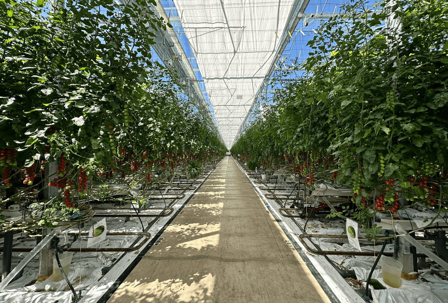 Viscon EVA Scoutr Autonomous Pest Monitoring – EVERGREEN