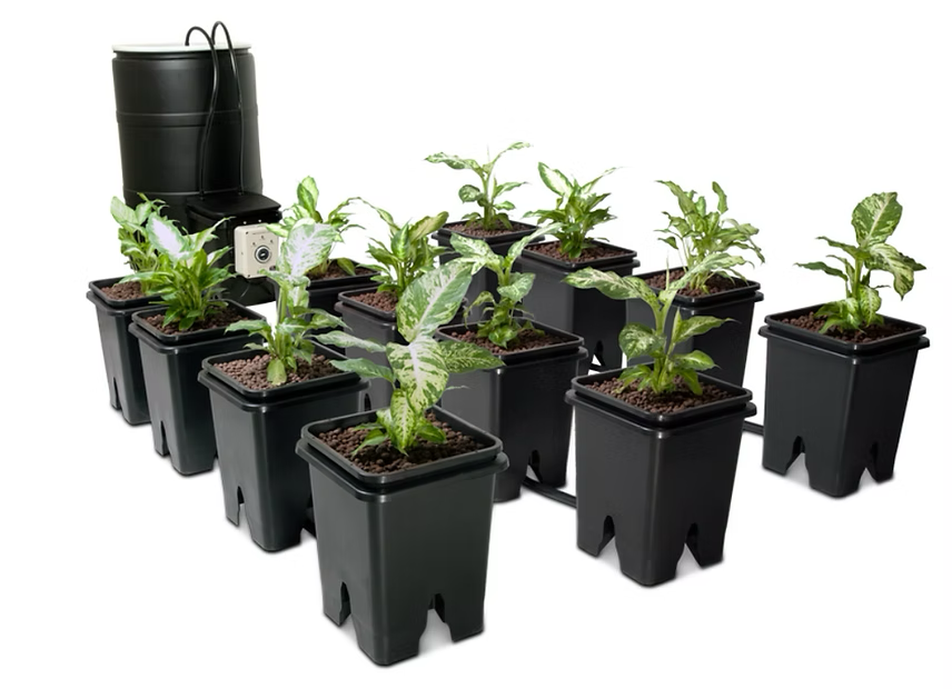 Active Aqua Grow Flow Ebb and Flow Hydroponic System Kit – EVERGREEN