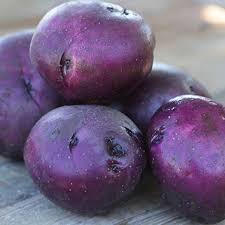Huckleberry Gold Gourmet Potato – EVERGREEN